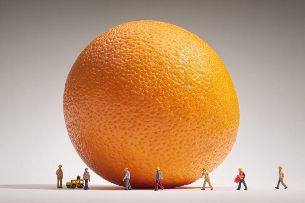 Papaya: главный цвет 2026 года от BONNIE&SLIDE